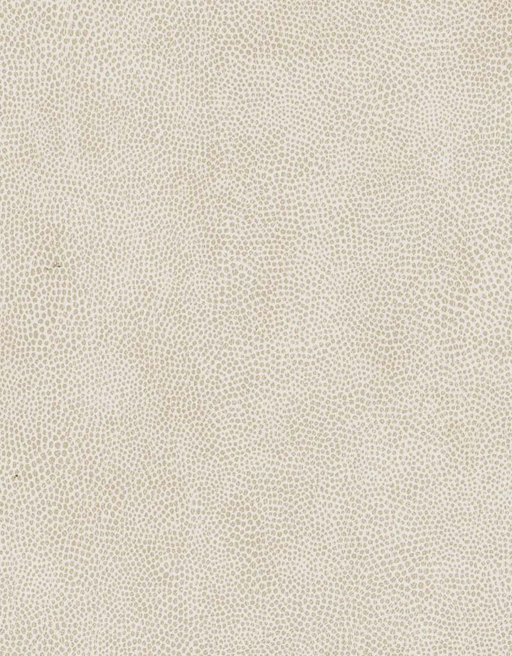 Vinyl Wallpapers | Excellent Quality Vinyl Wallcoverings